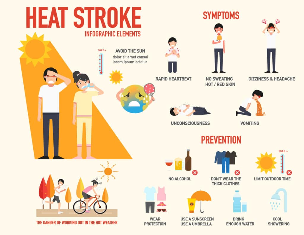 How to Prevent Heat Stress - [Best Tips for 2023]